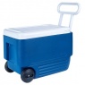 Cool Box Coolers Standard or Large Size Cool Boxes from Igloo and Coleman