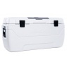 Cool Box Coolers Standard or Large Size Cool Boxes from Igloo and Coleman