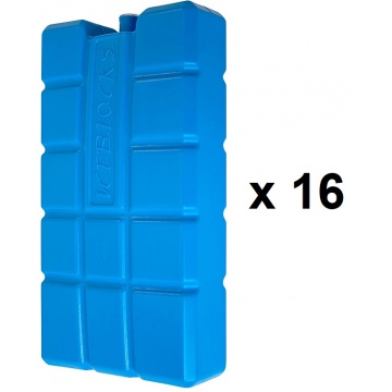 Ice Pack Gel Pack Blocks - Extra Large Size 750 Gram, Camping Picnic or ...